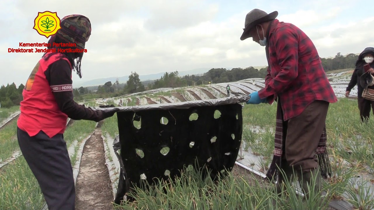 Teknik Cara Gulung Plastik Musa, Agar Dapat di Pakai Kembali – Desanews.id